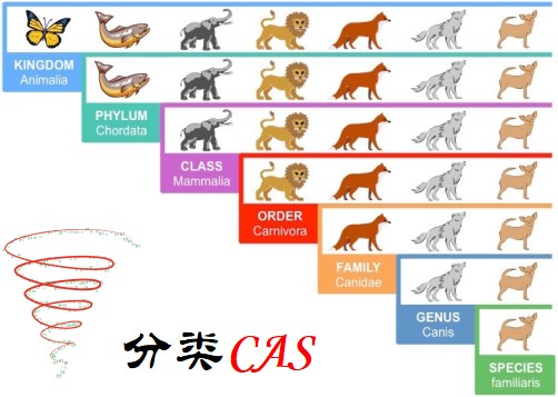 知识就是分类，all knowledge is classification | 小斯想